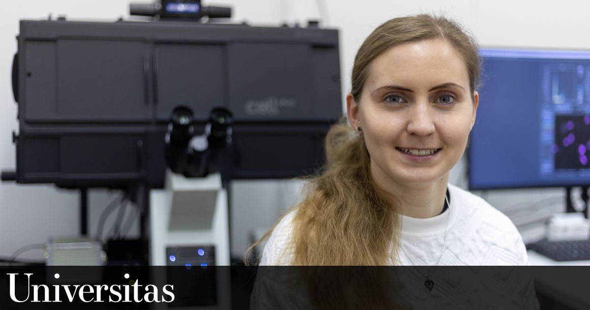 Stitch by stitch, cell by cell, back from Denmark into a Czech lab