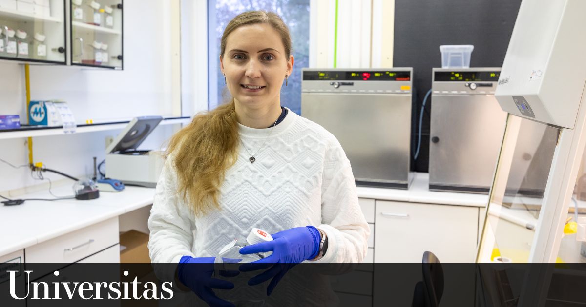 Stitch by stitch, cell by cell, back from Denmark into a Czech lab