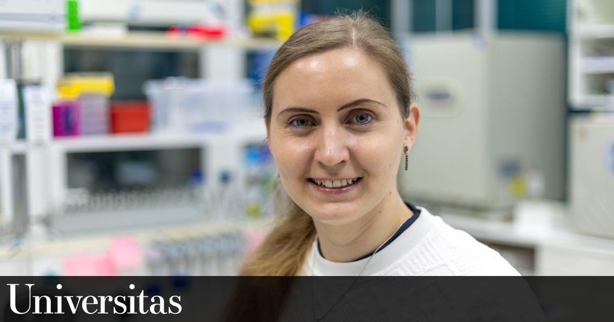 Stitch by stitch, cell by cell, back from Denmark into a Czech lab